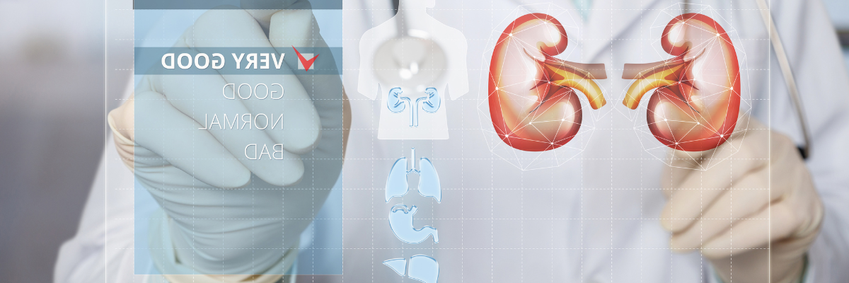 Male And Female Genitourinary Cosmetic Surgery Procedures