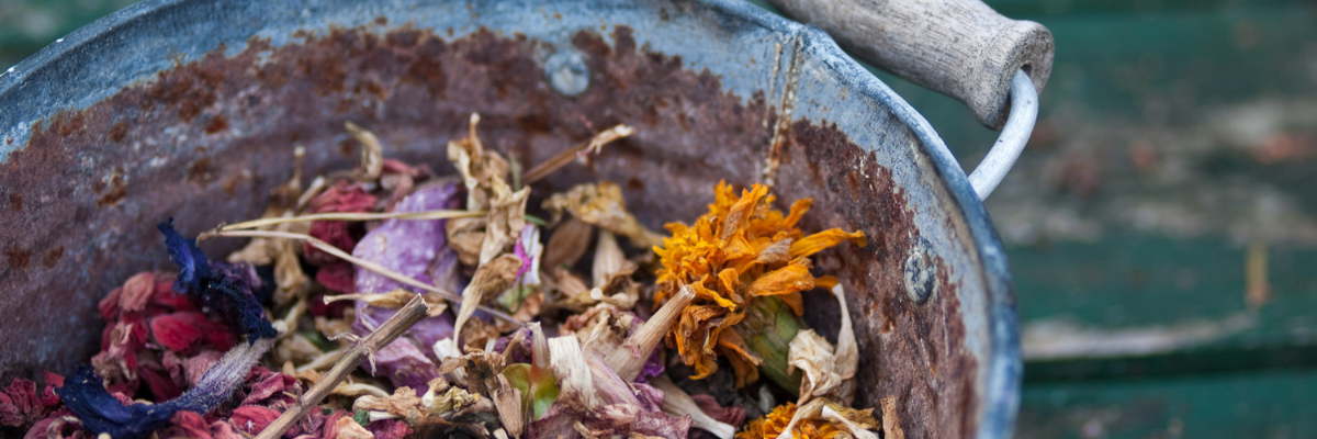 Allied Health & Physician - Clinical Potpourri - AACS 2024 Annual ...